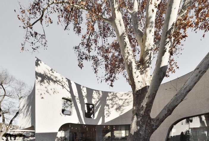 Wraping public space with sinuous curves. TreeHugger by MoDusArchitects ...