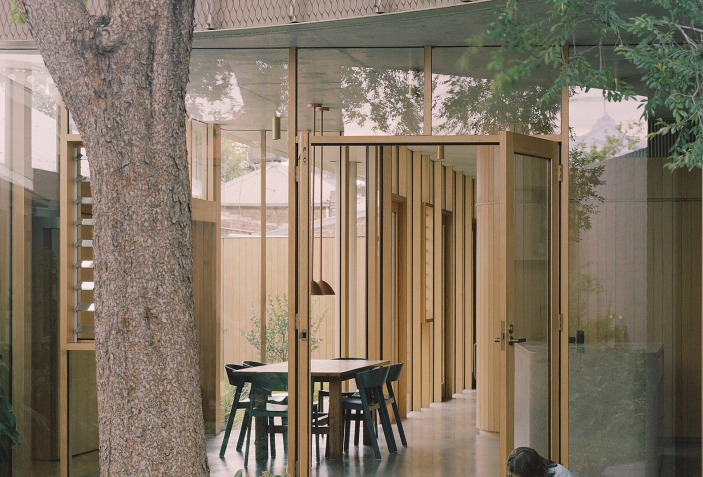 Dialogue with an elm tree and northern light. Autumn House by Studio ...